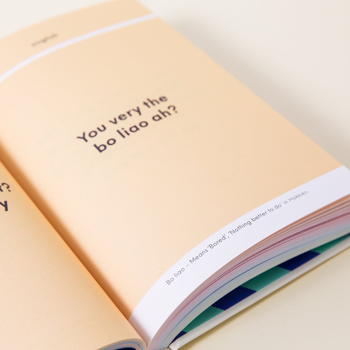 Singlish vs English Series | Singlish vs English Book – Independent Market